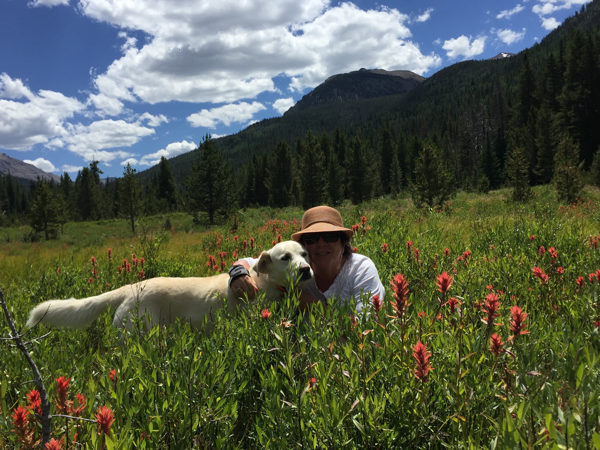 Spring Safety Tips for Dog Owners